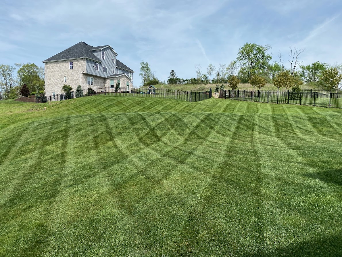 Lawn Maintenance - Verner's Lawn Care & Landscaping | Venetia