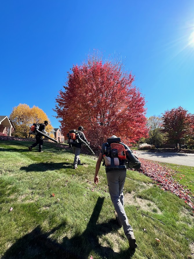 Spring & Fall Cleanups | Verner's Lawn Care & Landscaping